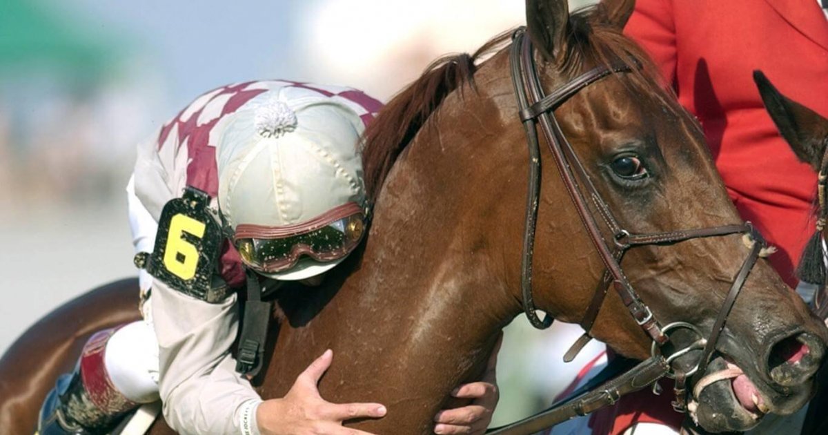 Yóquey drogó a su caballo para competir y después lo tuvieron que ...